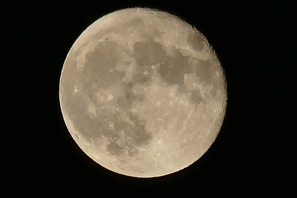 春日部にも沢山の星があった』 パナソニック LUMIX DMC-FZ1000 春日部にも沢山の星があった』 パナソニック LUMIX DMC-FZ1000