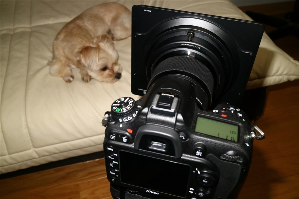 フィルタをつけられないのですか?』 シグマ 20mm F1.4 DG HSM フィルタをつけられないのですか?』 シグマ 20mm F1.4 DG HSM