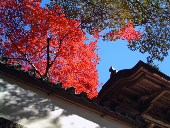 富士フイルム FinePix 6800Z投稿画像・動画 - 価格.com 富士フイルム FinePix 6800Z投稿画像・動画 - 価格.com