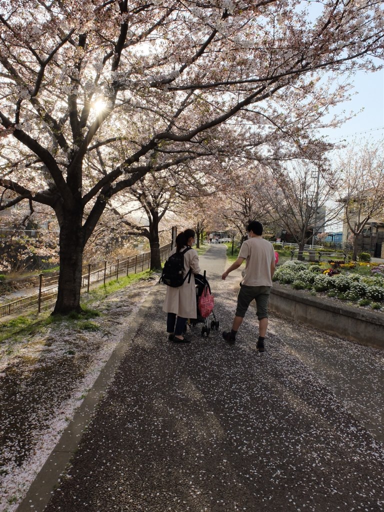 今更ながら唯一無二のコンパクトデジカメ』 富士フイルム 今更ながら唯一無二のコンパクトデジカメ』 富士フイルム