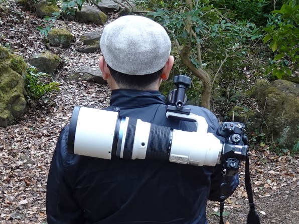 SONY サイバーショット DSC-HX99で撮影された写真 - 価格.com SONY サイバーショット DSC-HX99で撮影された写真 - 価格.com