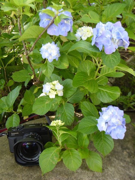 ライカ DIGILUX 2で撮影された写真 - 価格.com ライカ DIGILUX 2で撮影された写真 - 価格.com